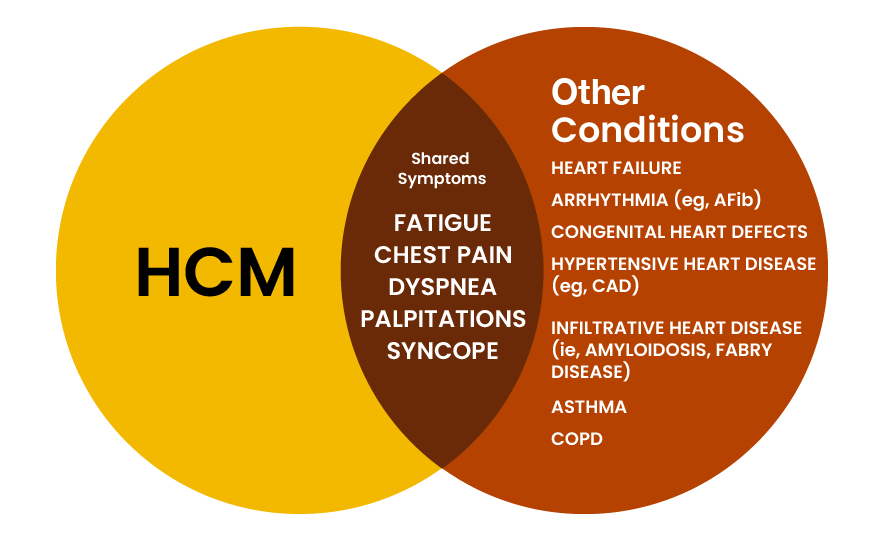 Understanding Hypertrophic Cardiomyopathy | Expose HCM